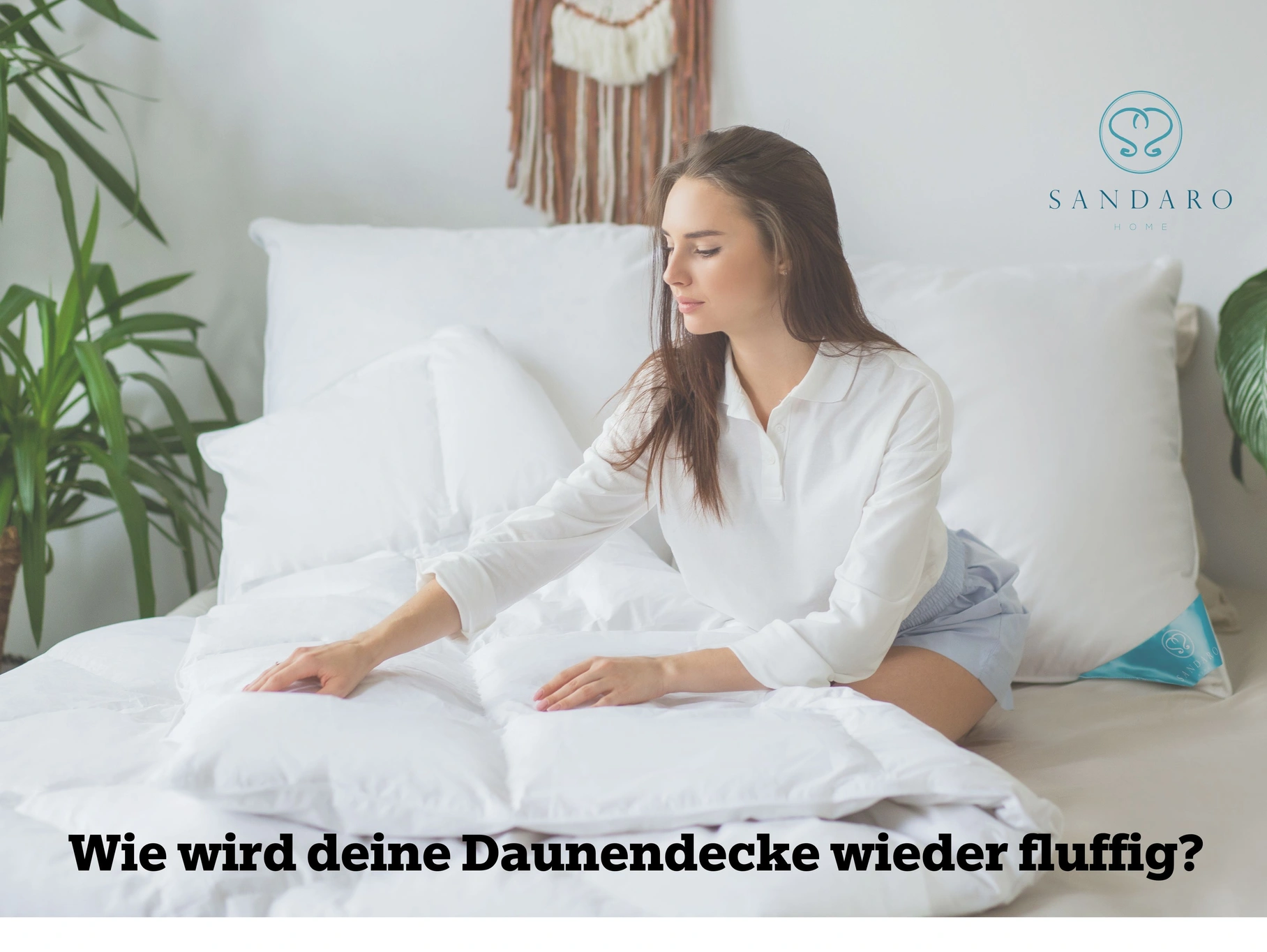 Daunenkissen richtig waschen & pflegen | Tipps & Leitfaden – Sandaro ...